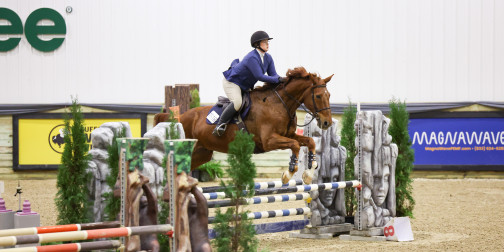 BSM Partners // Horse People Are Dog People: Why Pet Brands Belong at ...