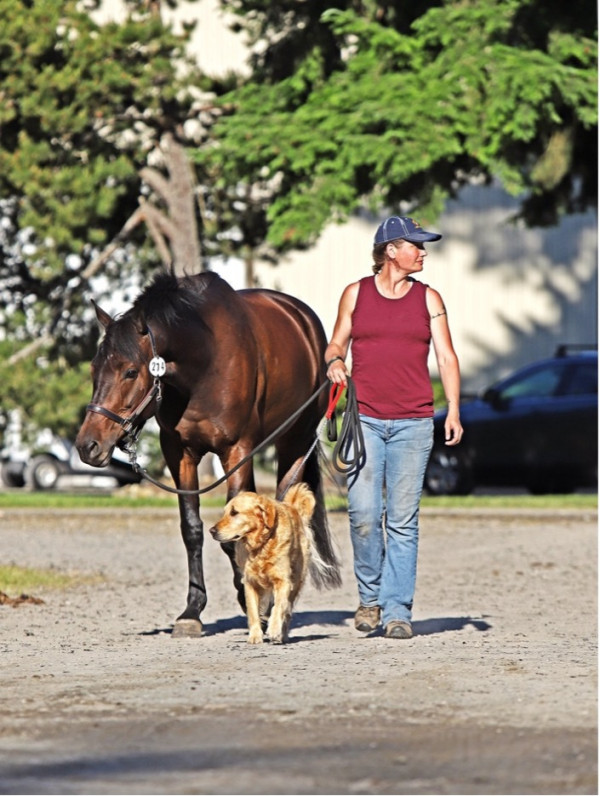 BSM Partners // It’s National Walk Your Dog Month!