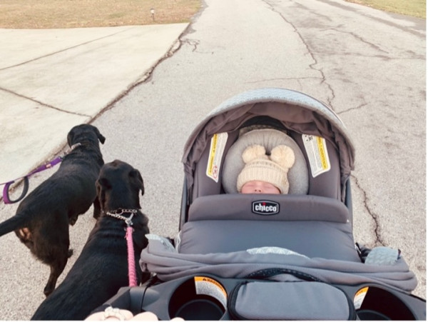 BSM Partners // It’s National Walk Your Dog Month!