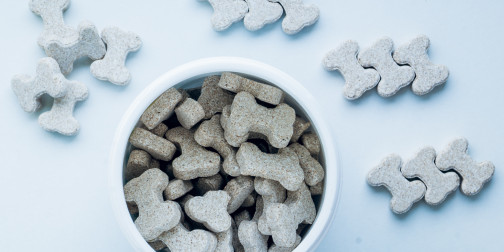 BSM Partners // Choosing a Dog Food: AAFCO Feeding Trials