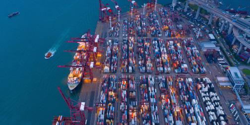 BSM Partners // International Regulatory Divergence: Exports at Risk