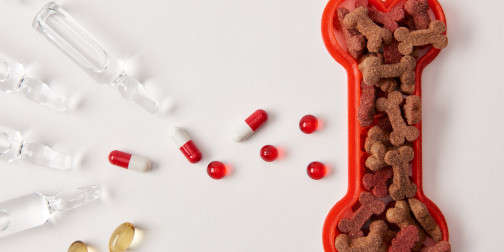 BSM Partners // Pet Supplements: When Science, Cost, and Chews Collide