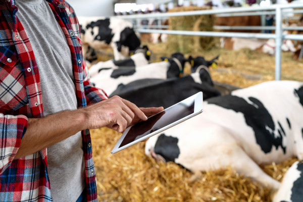 BSM Partners // From Barn to Bowl: How AI Is Revolutionizing Dairy ...