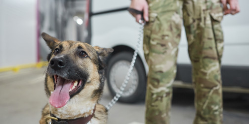 BSM Partners // Retired but Not Forgotten: Nonprofits Giving K9 ...