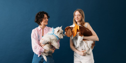 BSM Partners // The Pet Effect: How Animals Improve Your Health and ...